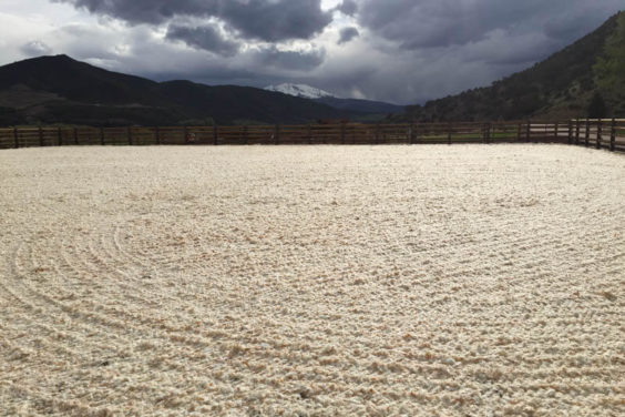 How To Select The Best Base Material For Your Arena | Kiser Ranch ...