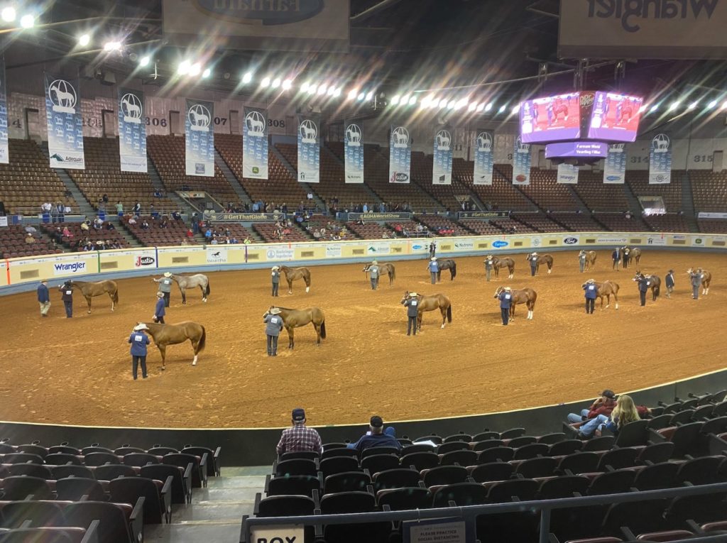Why Quality Horse Arena Drags Matter | Kiser Ranch Development
