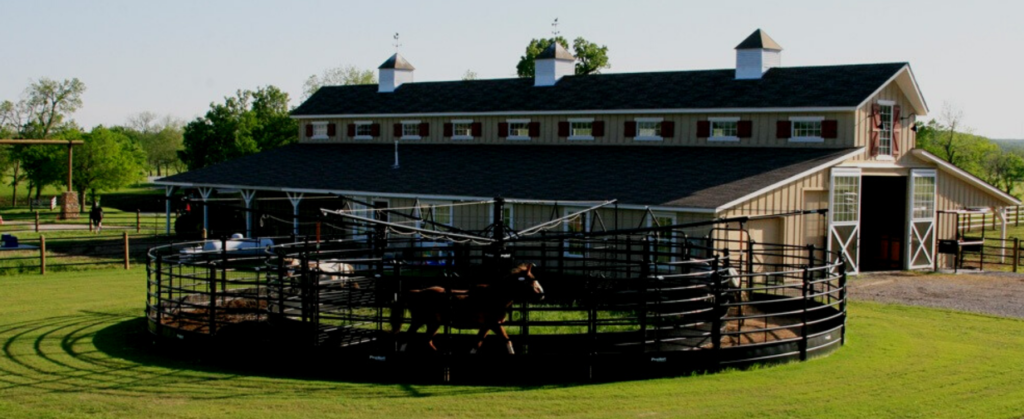 Horse Exercise Simplified: Horse Walkers | Kiser Ranch Development